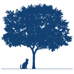 Home [catbondinvesting.com]